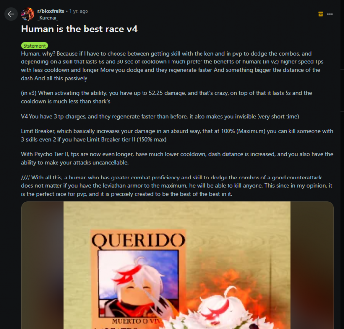 What Does Human V4 Do?